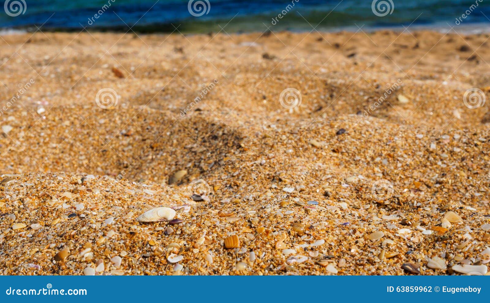 Yellow seashall sand stock photo. Image of blue, cheerful - 63859962