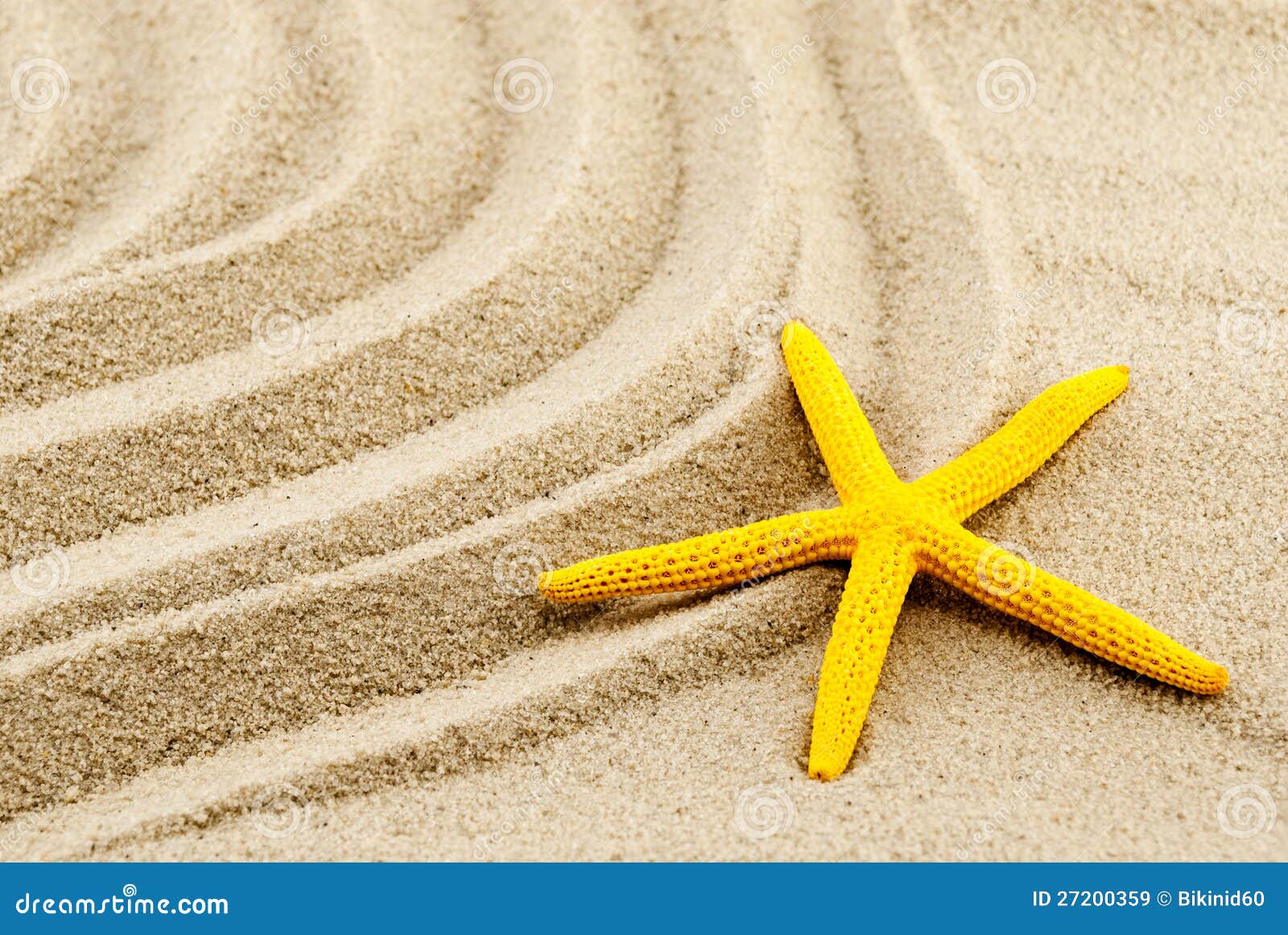 Yellow seastar. stock image. Image of exotic, space, marine - 27200359