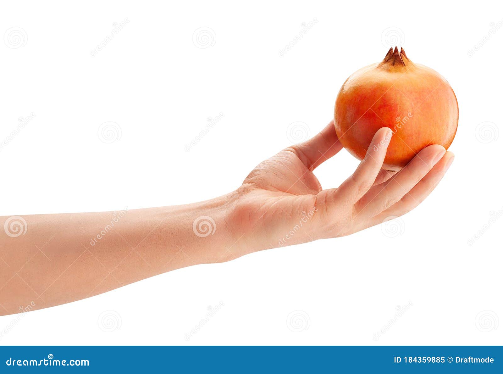 Yellow Seedless Pomegranate in Hand Stock Image - Image of clipping ...