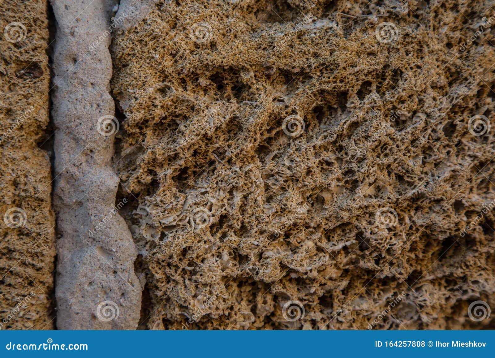 Shell Brick Wall Pattern Surface Mineral Material Texture Background ...