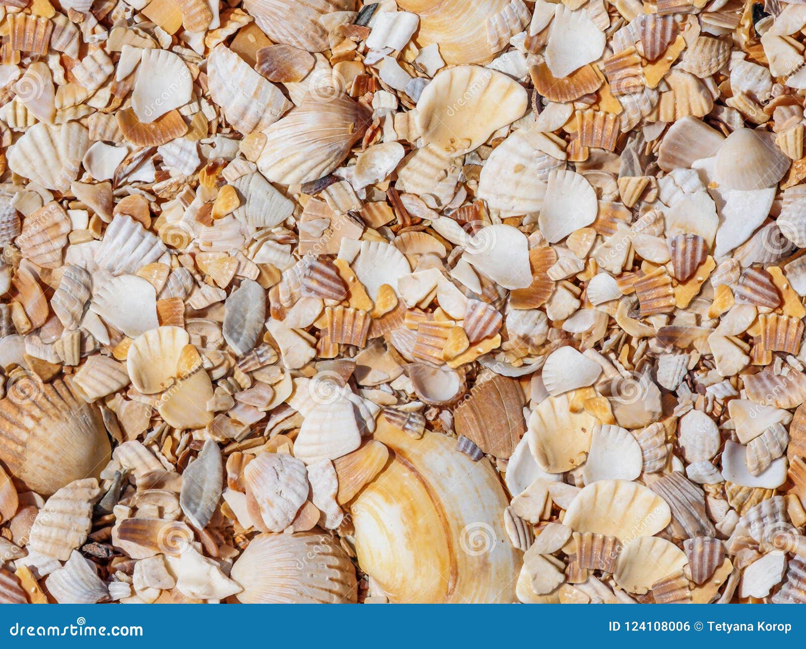 Yellow Shells, Seamless Textured Background Stock Photo - Image of ...