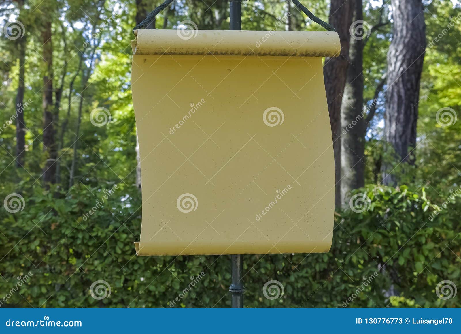Yellow sign in the park stock image. Image of nature - 130776773
