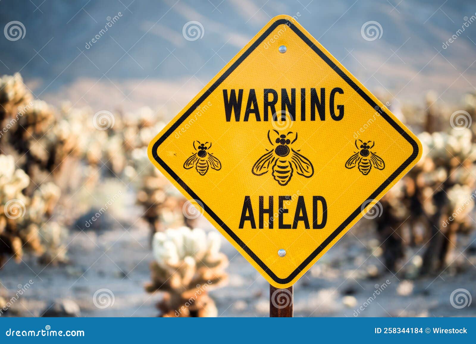 Yellow Sign Pole Warning for Bees Ahead Stock Photo - Image of pole ...