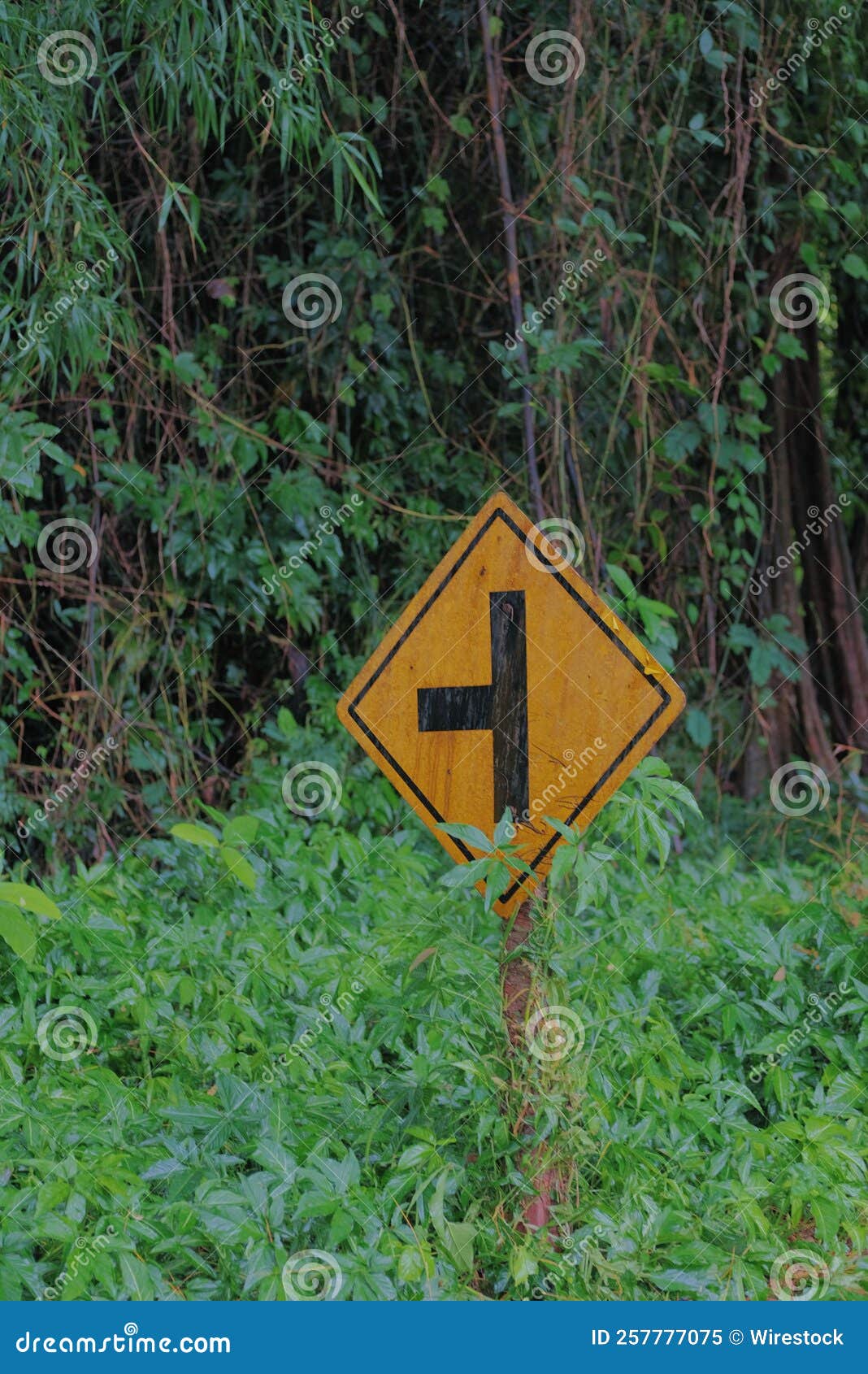 Yellow Sign in the Woods Warning about Dead End Stock Image - Image of ...