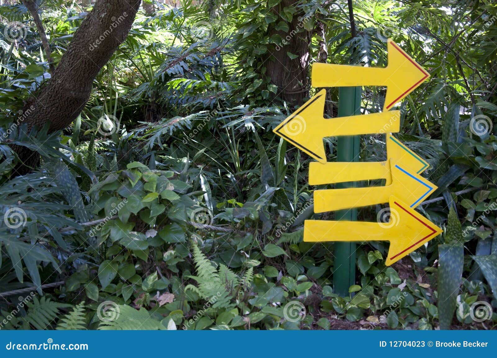 Yellow Signs in the Forest stock image. Image of horizontal - 12704023