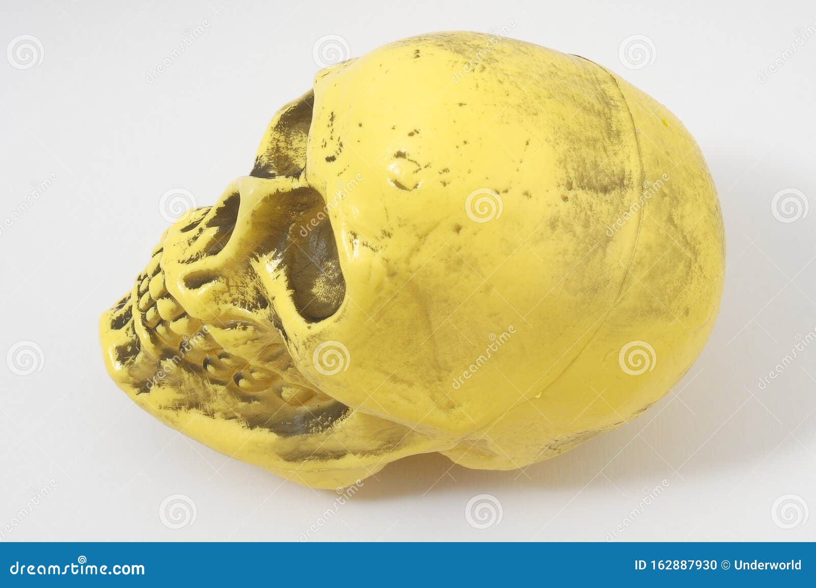 Yellow Skull stock photo. Image of brain, human, death - 162887930