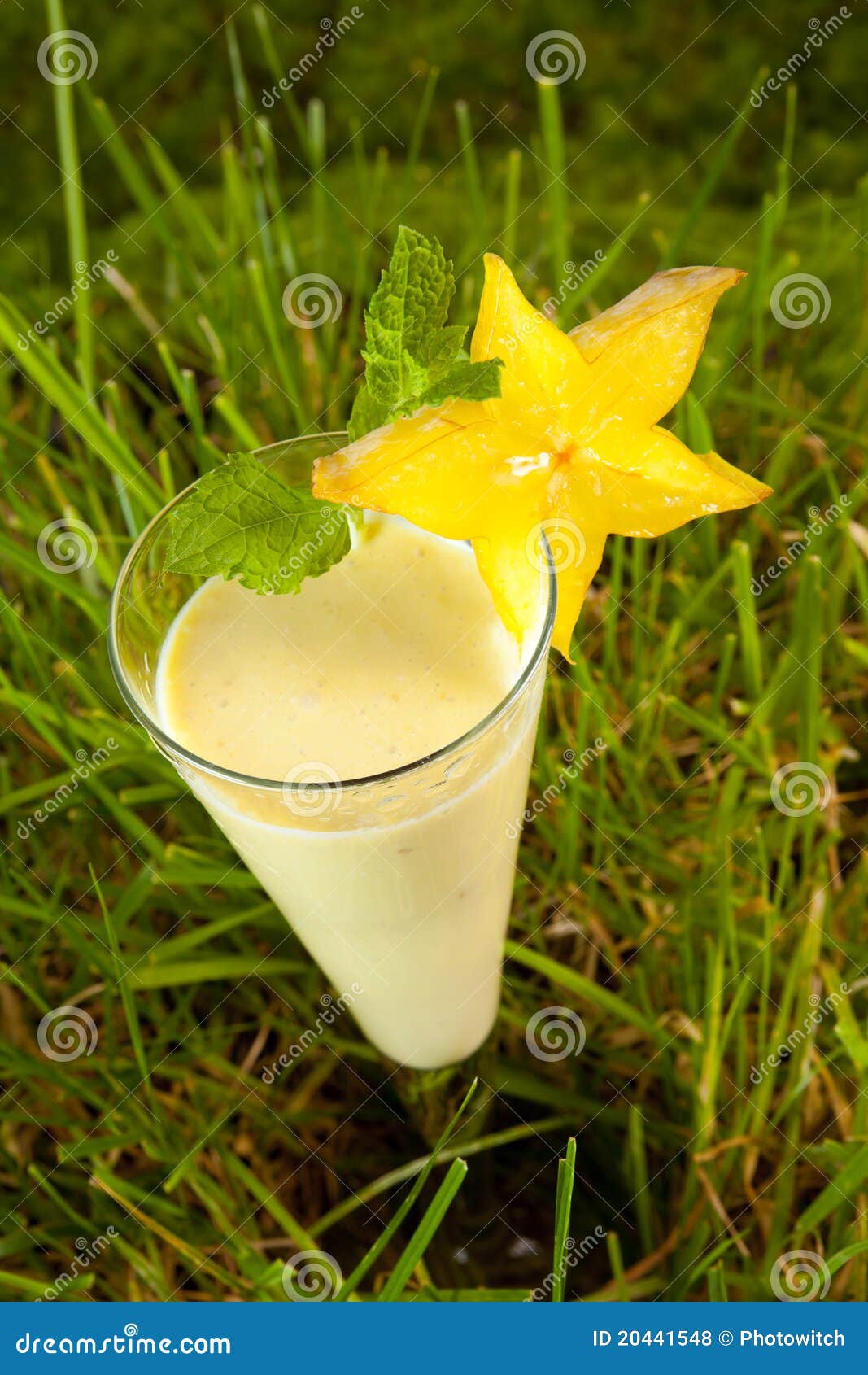 Yellow smoothie stock photo. Image of green, garden, yellow - 20441548