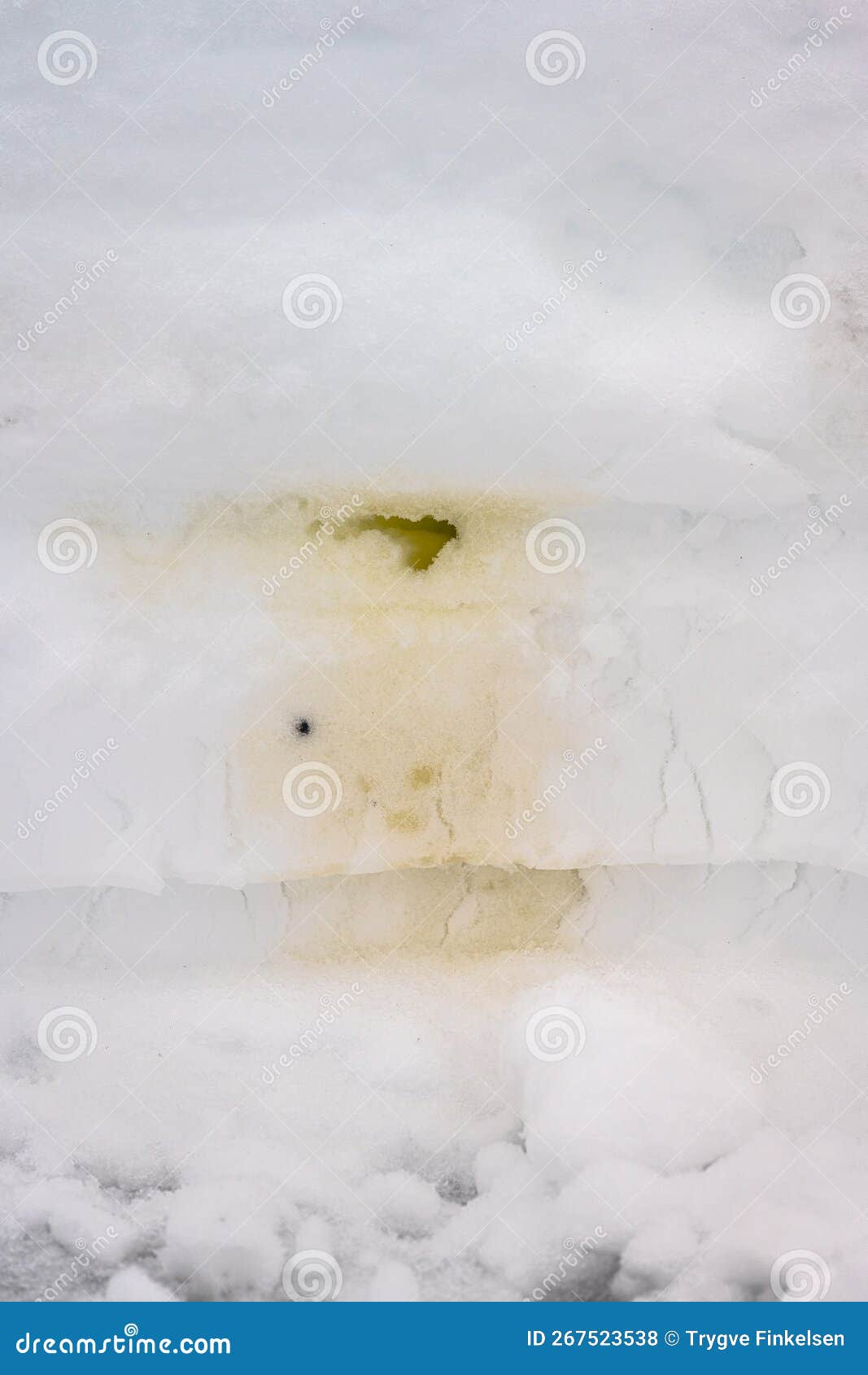 Yellow Snow by a Parking Lot.. Stock Photo - Image of light, city ...