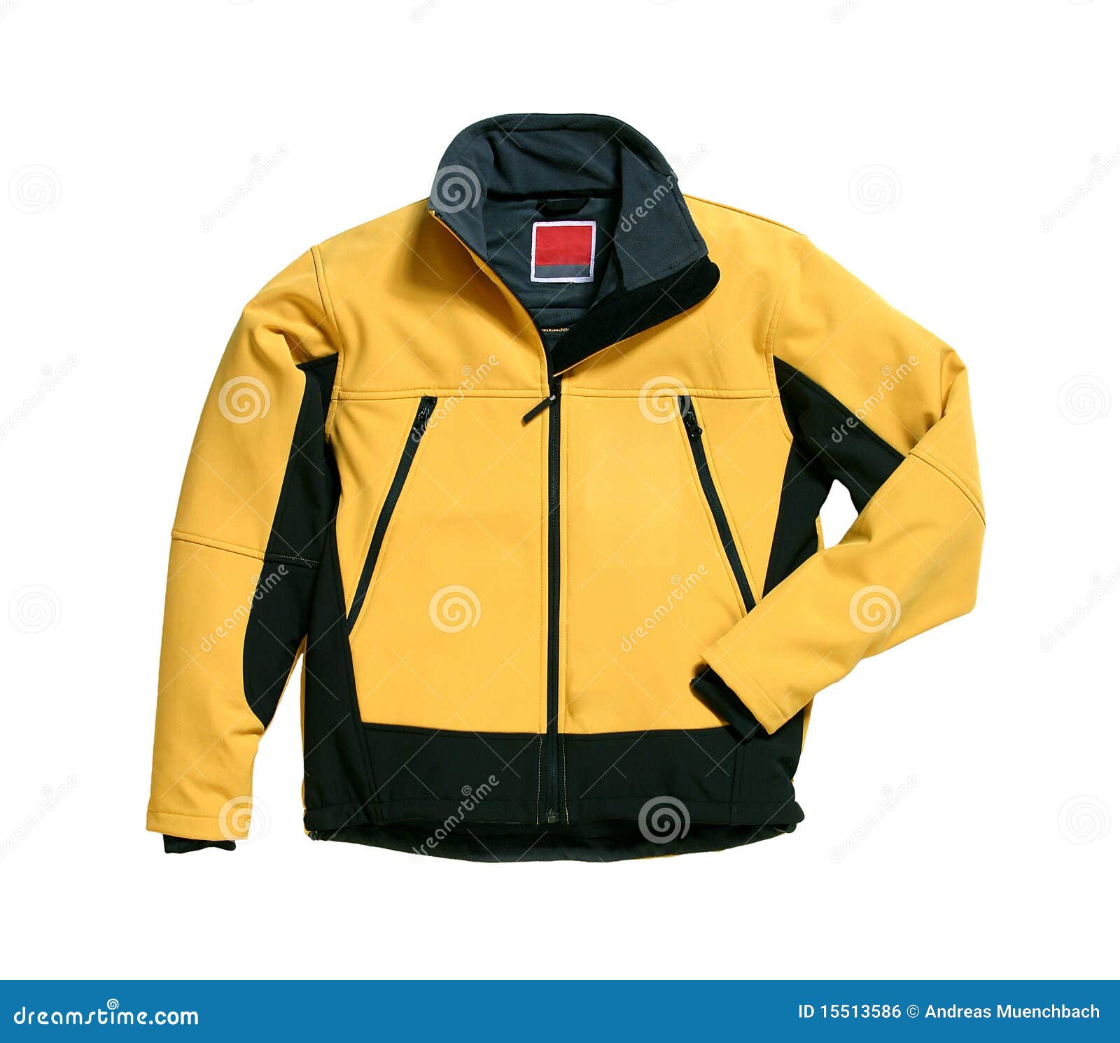 Black Softshell Turtle In The Nagshankar Temple Pond In Assam. Photo By ...