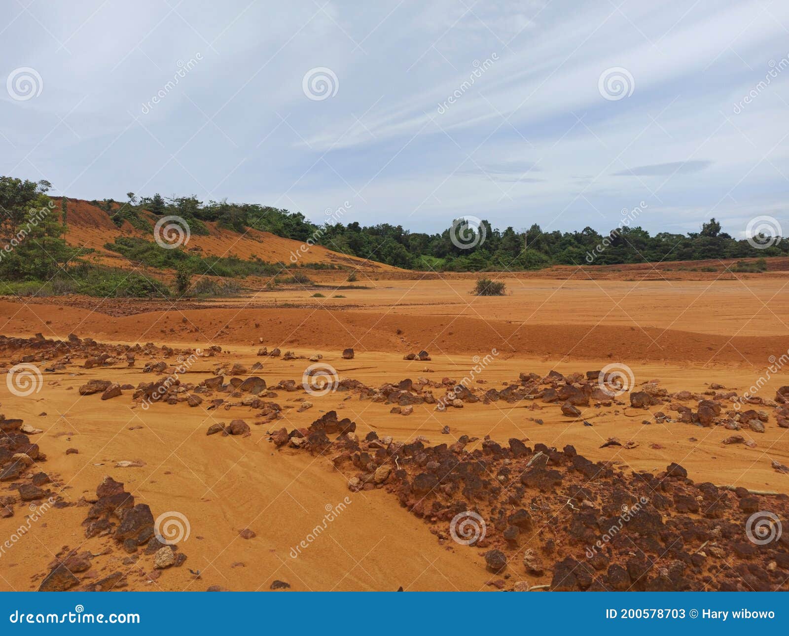 Yellow soil stock image. Image of wadi, landscape, valley - 200578703