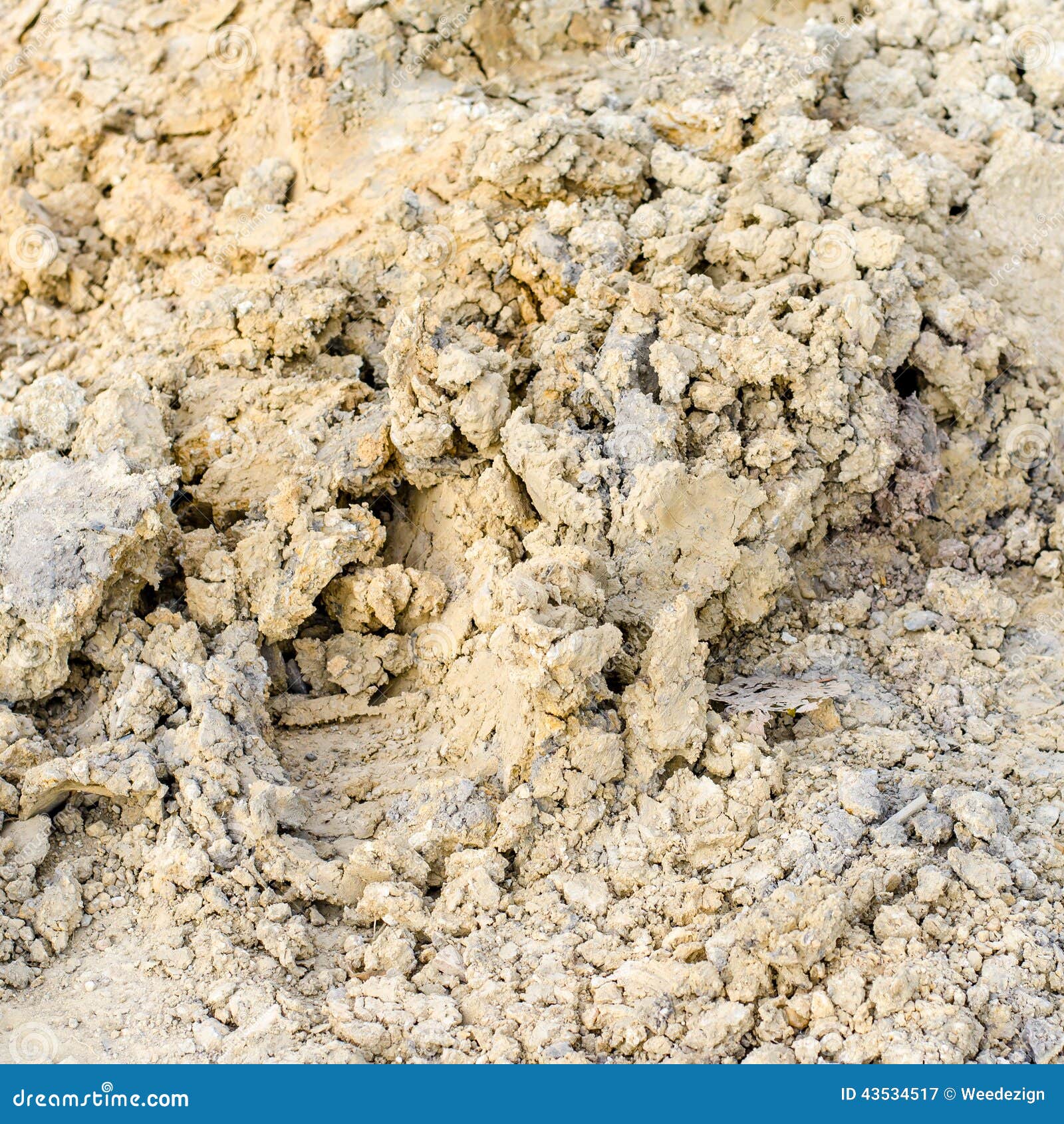 Yellow Soil Texture Royalty-Free Stock Photo | CartoonDealer.com #229618335