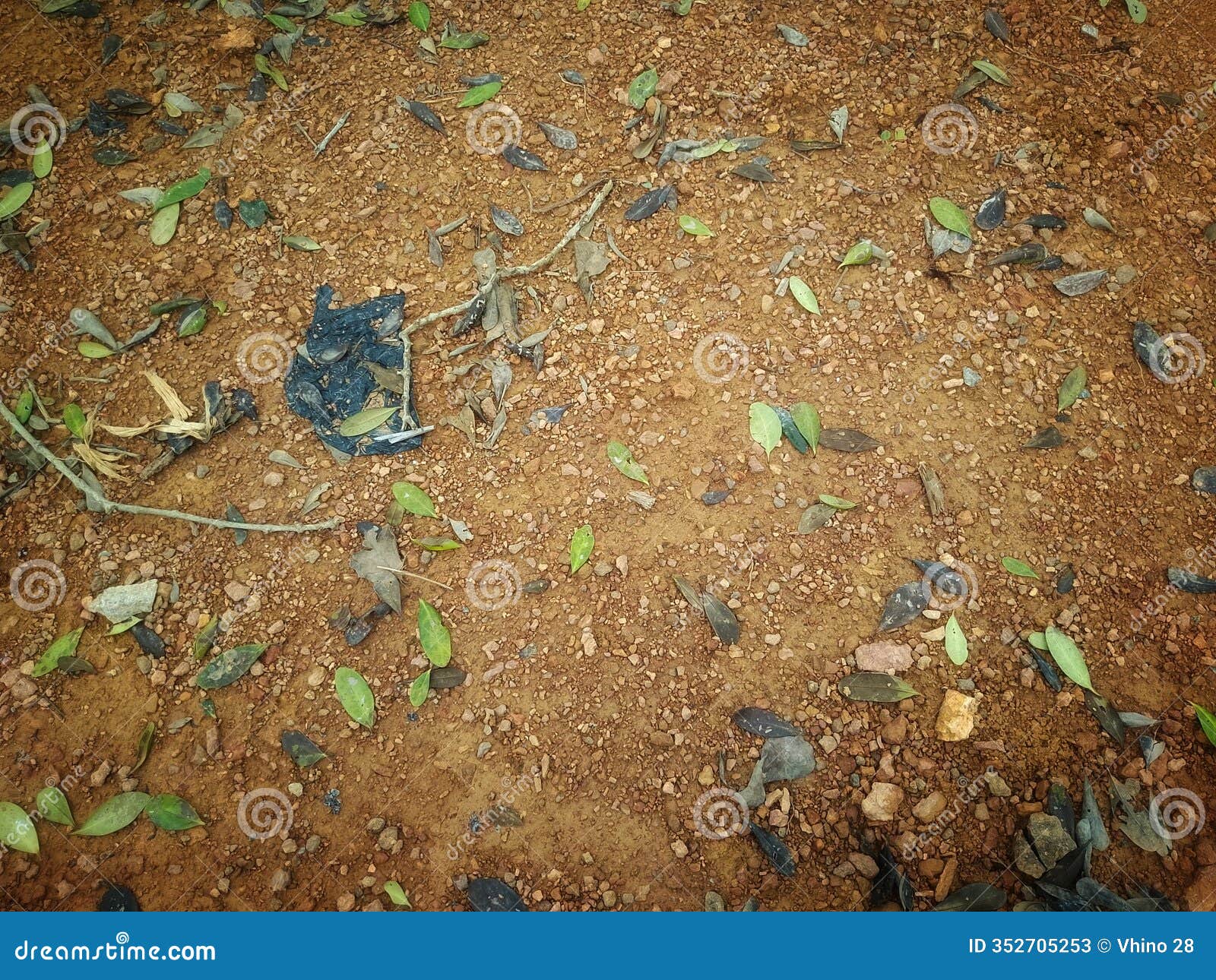 Yellow Soil Texture Royalty-Free Stock Photo | CartoonDealer.com #229618335