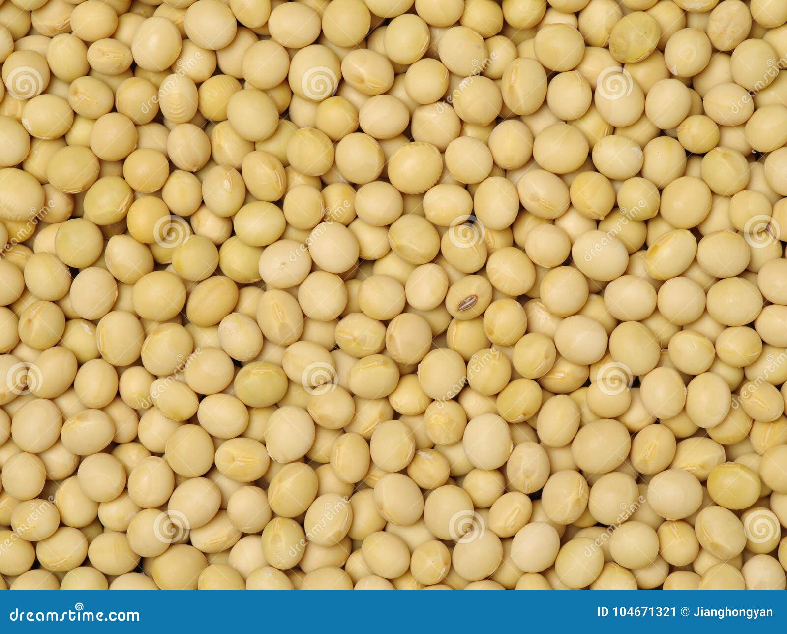 Yellow Soybean stock image. Image of vegetarian, eating - 104671321