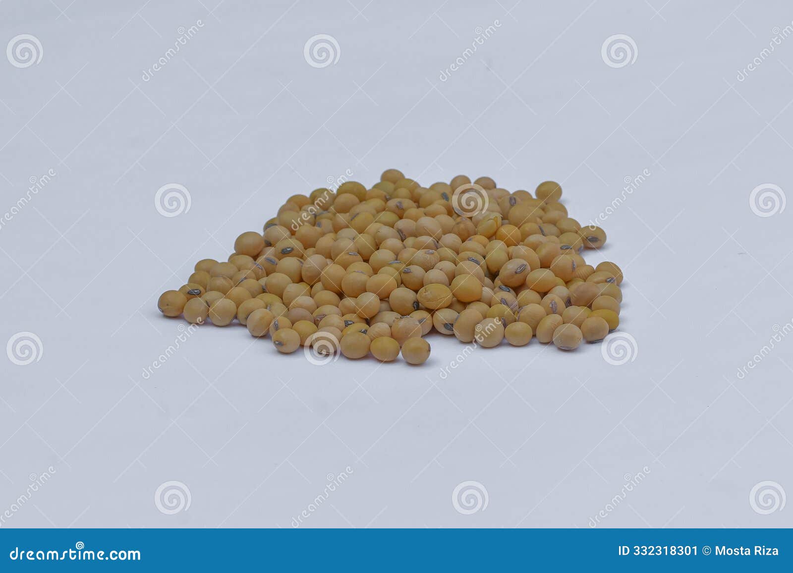 Yellow Soybeans on an Isolated White Background Stock Image - Image of ...