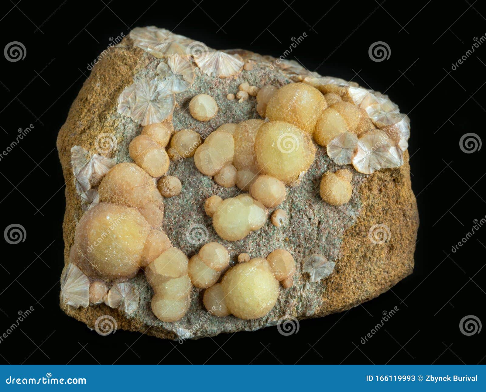 Yellow Spheres of Pearly Wavellite Mineral Stock Image - Image of ...