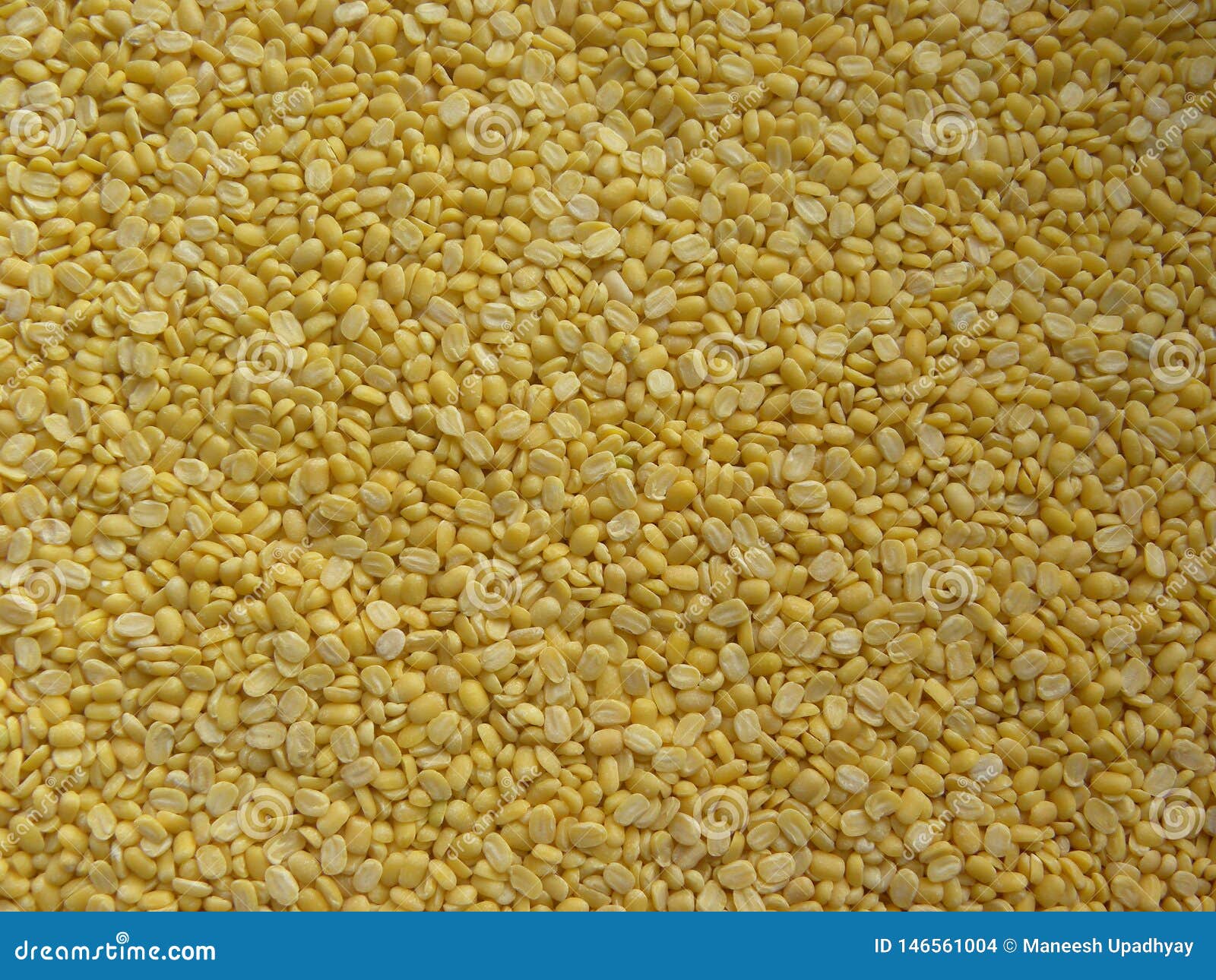 Yellow Split Mung Dal Beans Stock Photo - Image of background, fresh ...