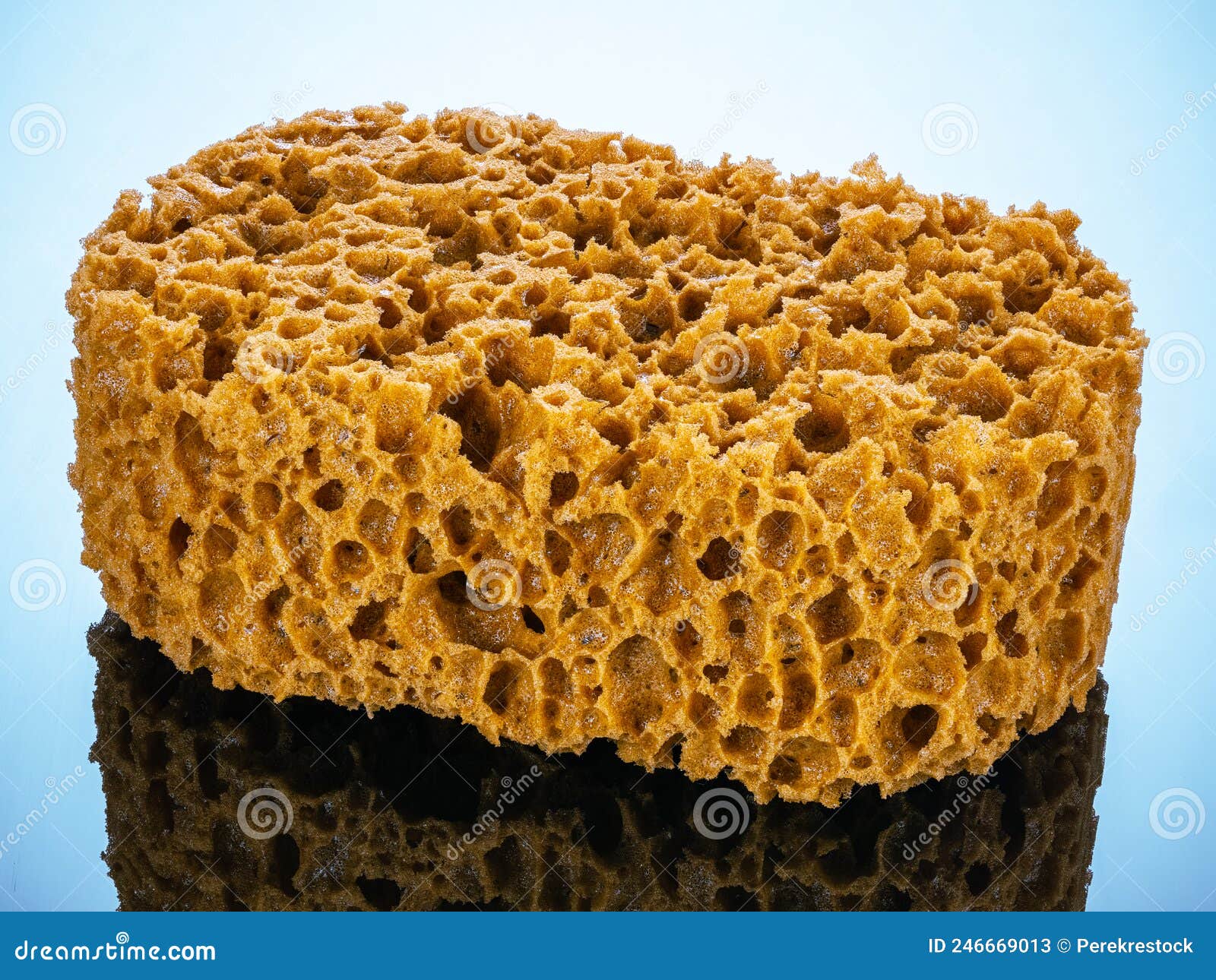 Yellow Sponge for Abstract Decor Effect and Paints the Wall Stock Image ...