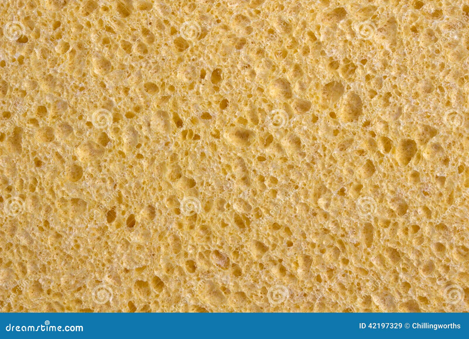 Yellow Sponge stock image. Image of sponge, yellow, texture - 42197329