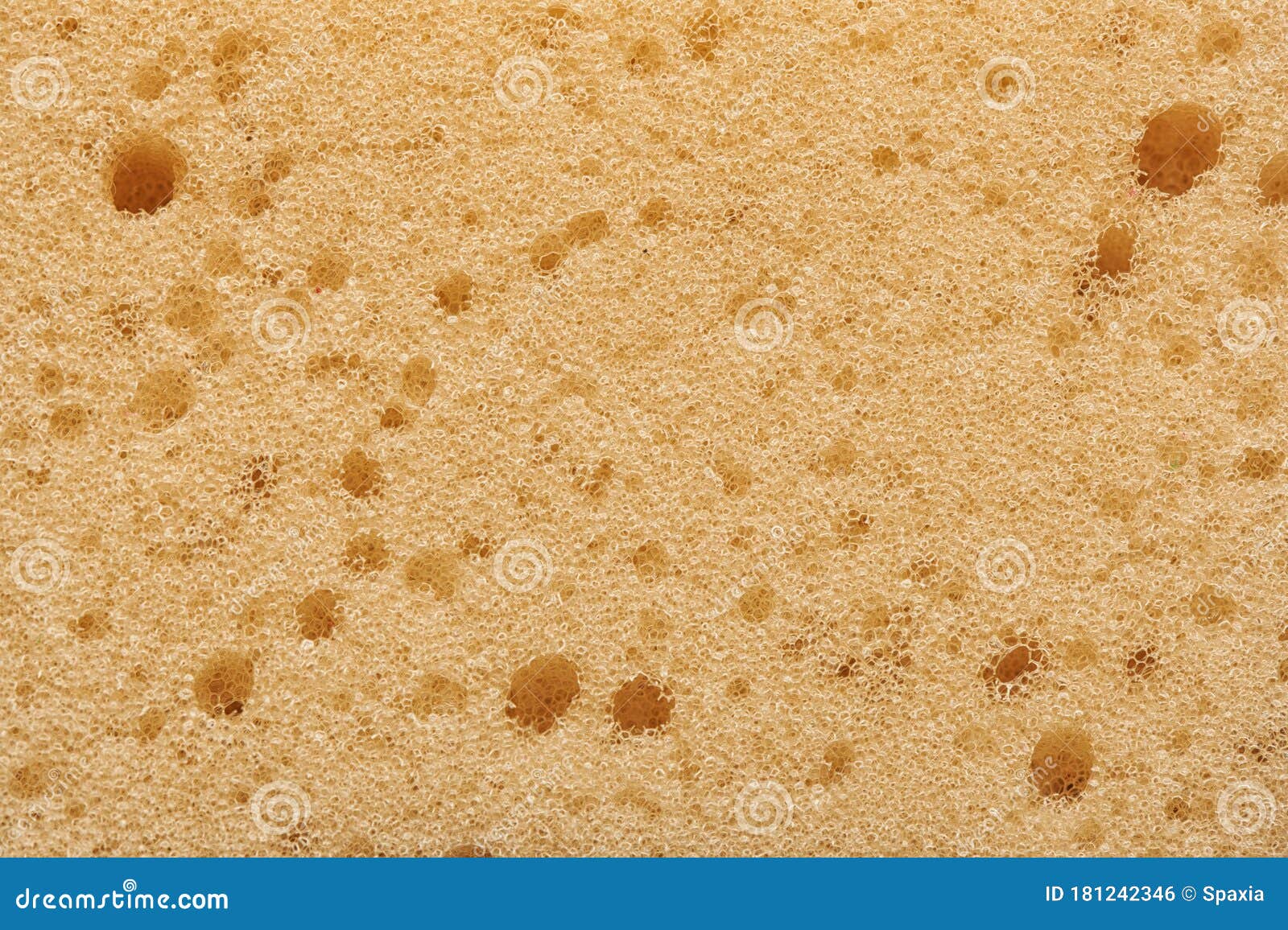 Sponge Detail Texture, Sponge Texture Background. Royalty-Free Stock ...