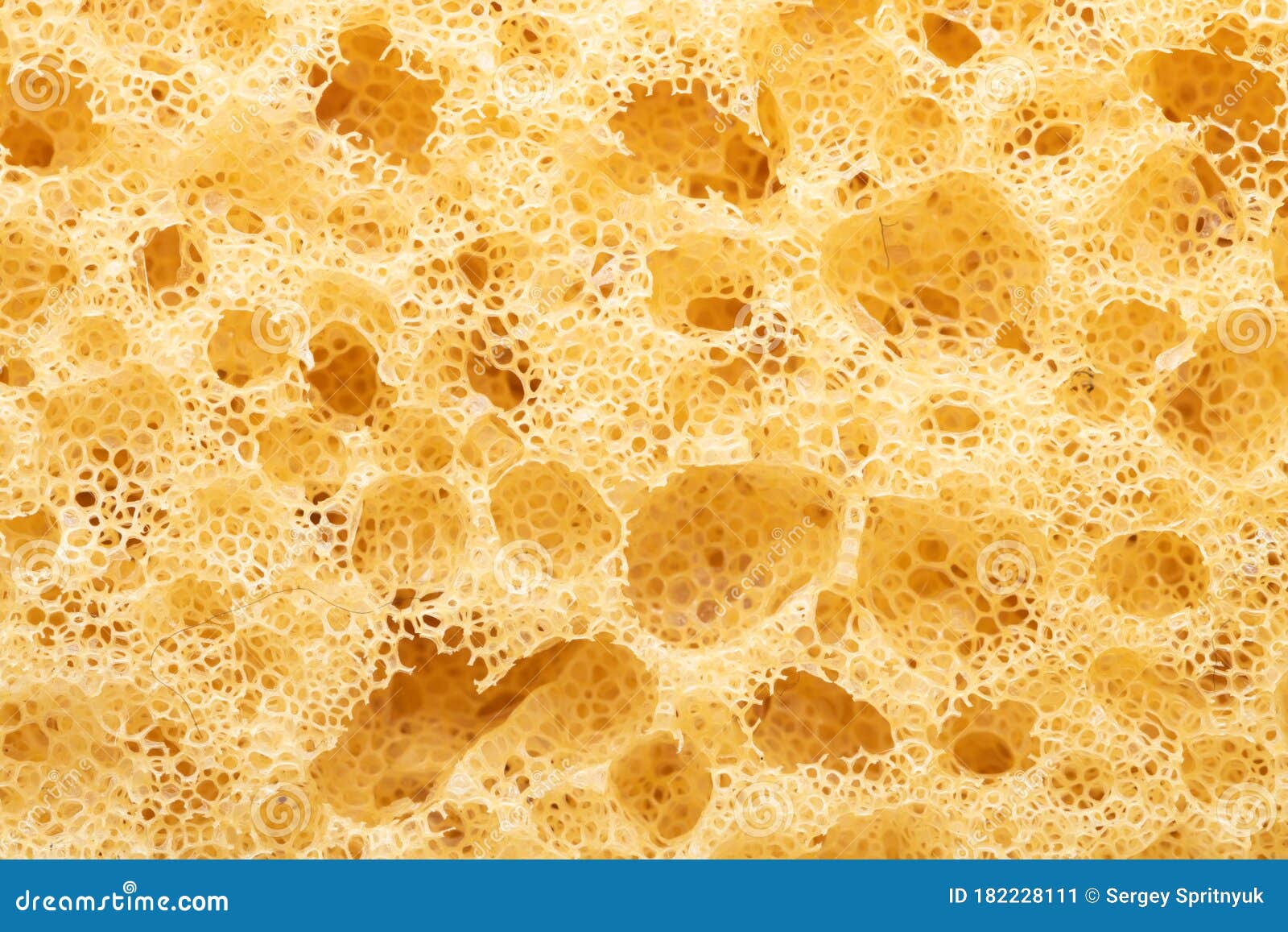 Sponge Detail Texture, Sponge Texture Background. Royalty-Free Stock ...
