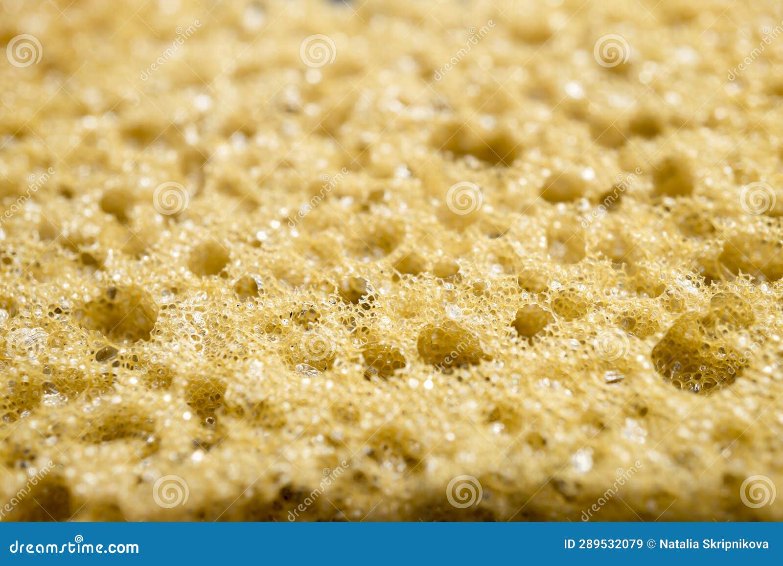 Yellow Sponge Perforated Texture Background Stock Image - Image of ...