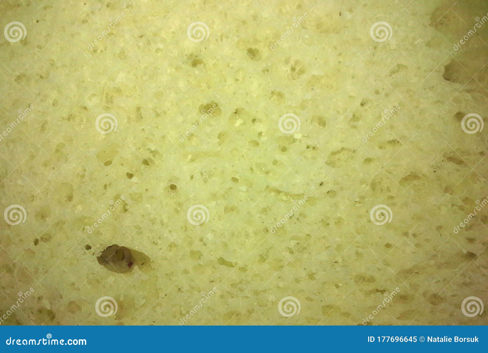 Yellow sponge cake texture stock image. Image of food - 177696645