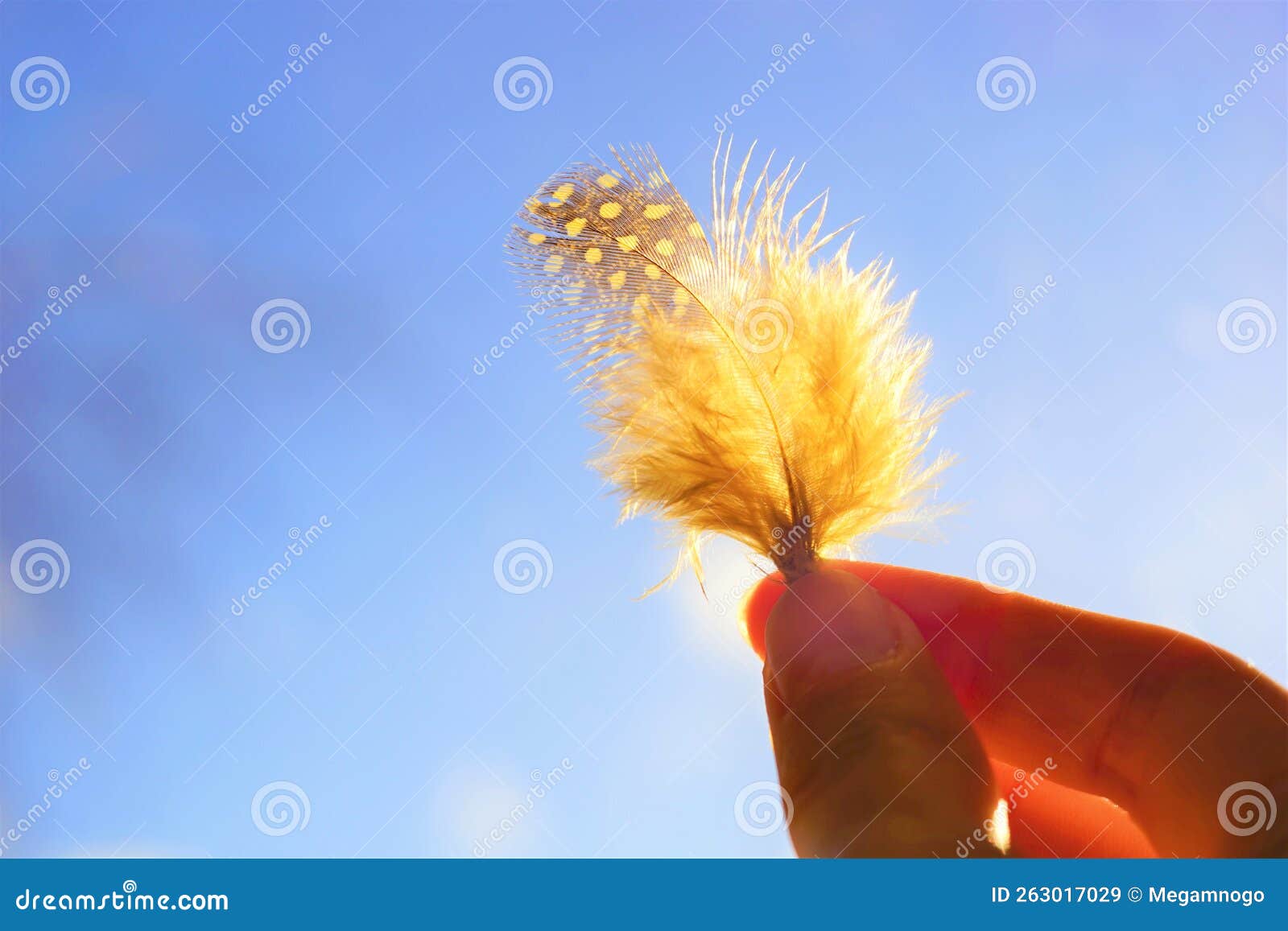 Yellow Spotted Bird Feather in Human Fingers on Blue Sky Background ...