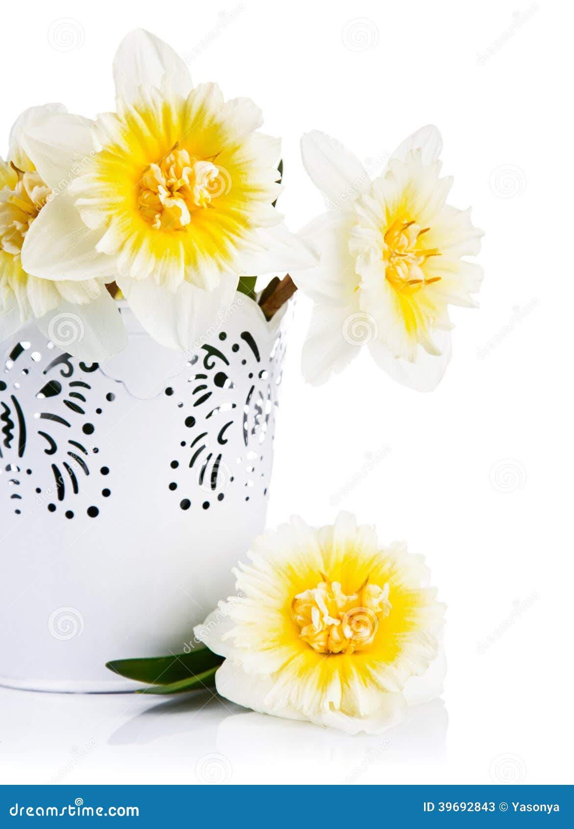 Yellow Spring Flowers in Bucket Stock Image - Image of bush, season ...