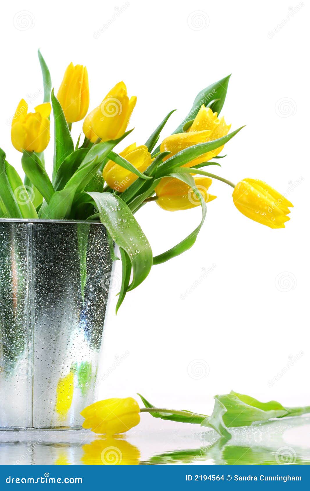 Yellow spring tulips stock photo. Image of nature, flower - 2194564