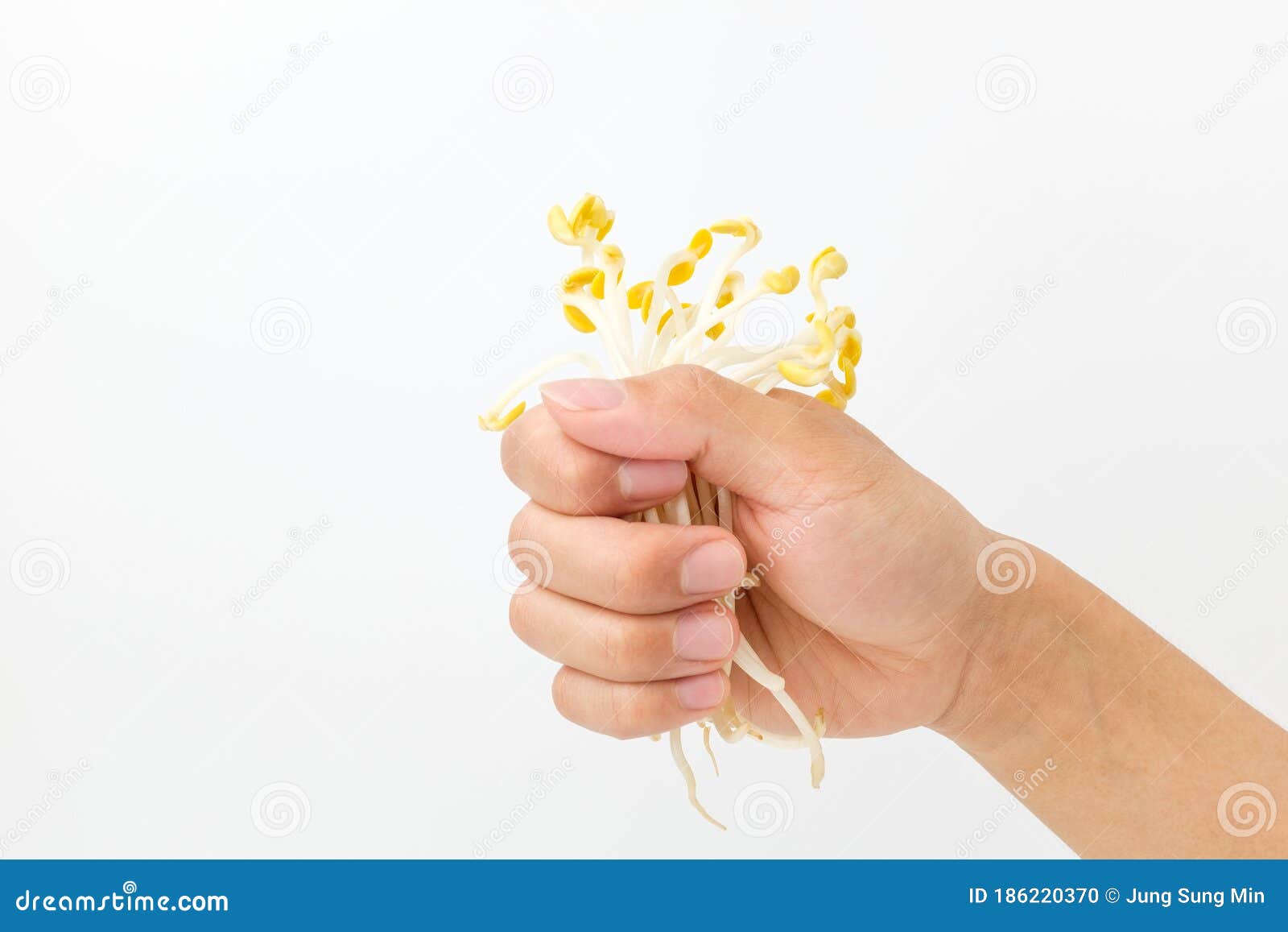 Yellow Sprouts on White Background Stock Photo - Image of meal, soft ...