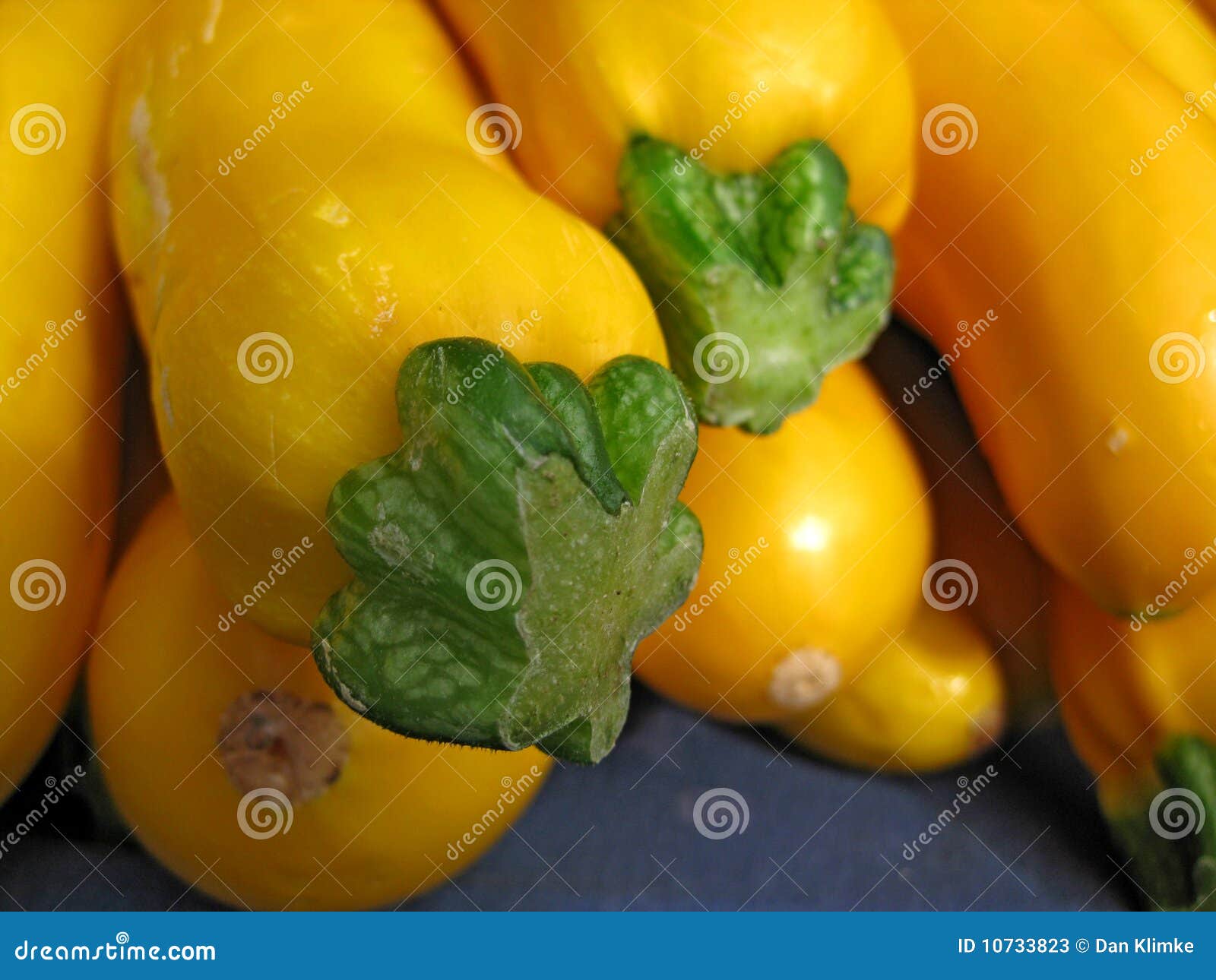 Yellow squash stock image. Image of ripened, delicious - 10733823