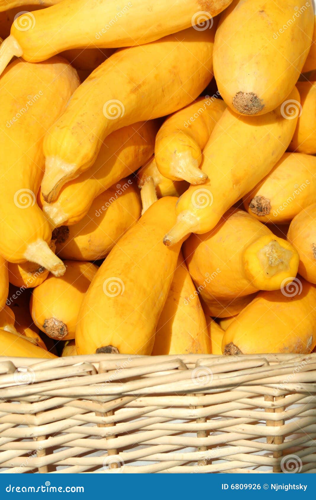 Yellow squash in a basket stock photo. Image of thanksgiving - 6809926