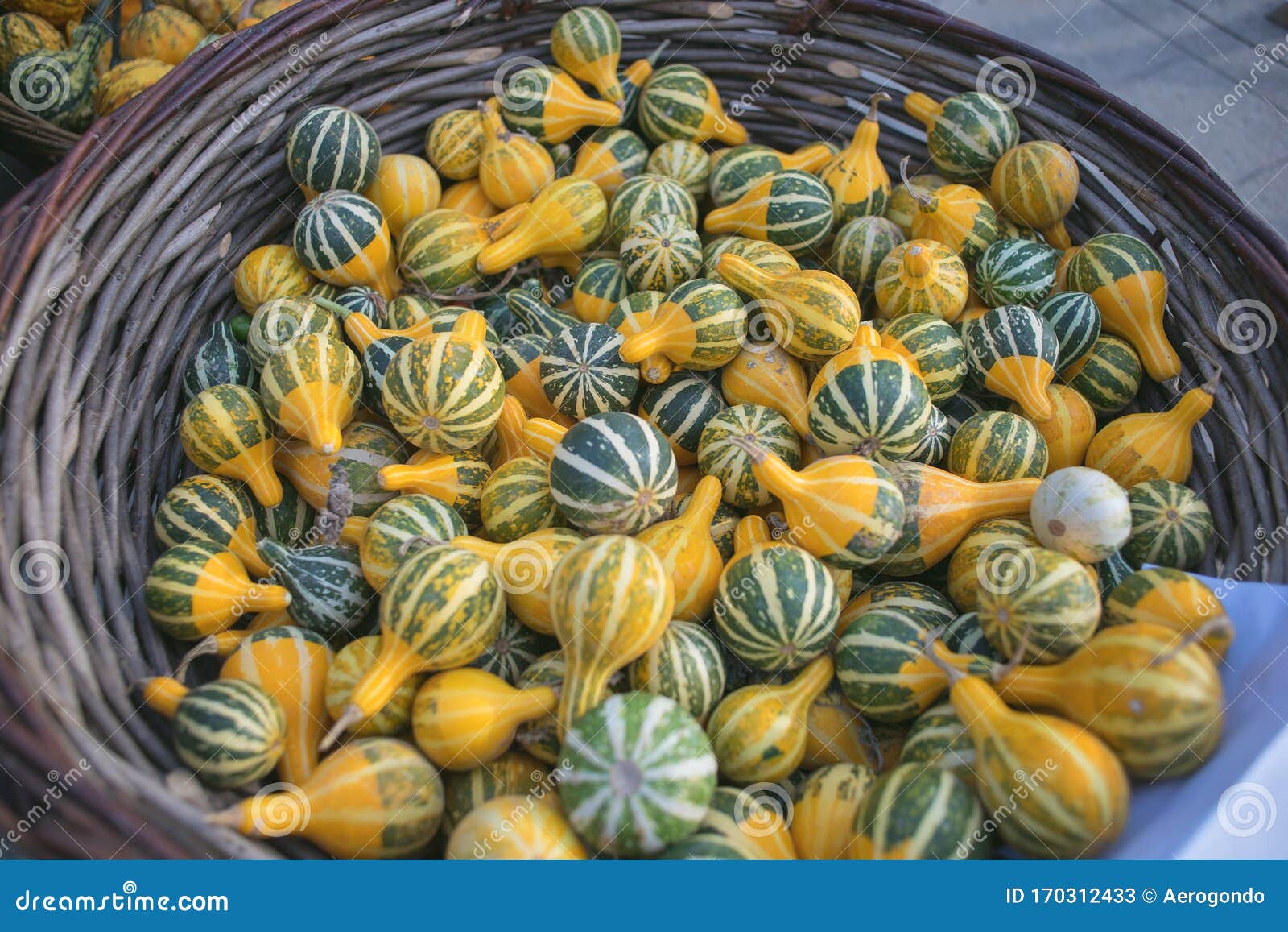 Full Basket of Yellow Squash Stock Image - Image of delicious, festival ...