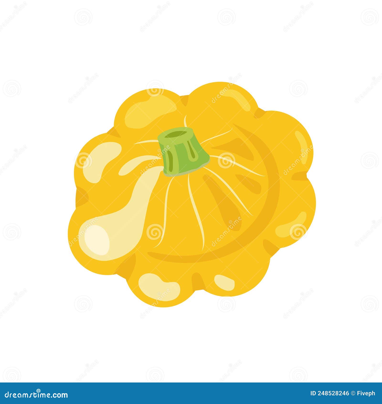 Yellow Squash On White Background. Detailed Drawing By Hand Vector ...