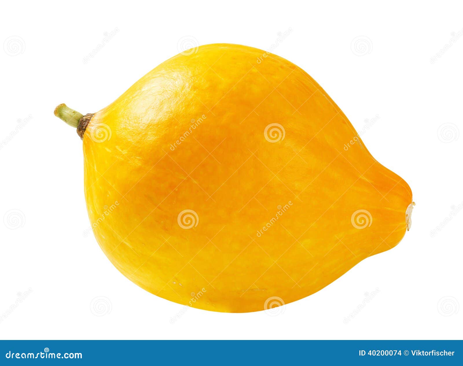 Yellow squash stock photo. Image of fruit, ingredient - 40200074