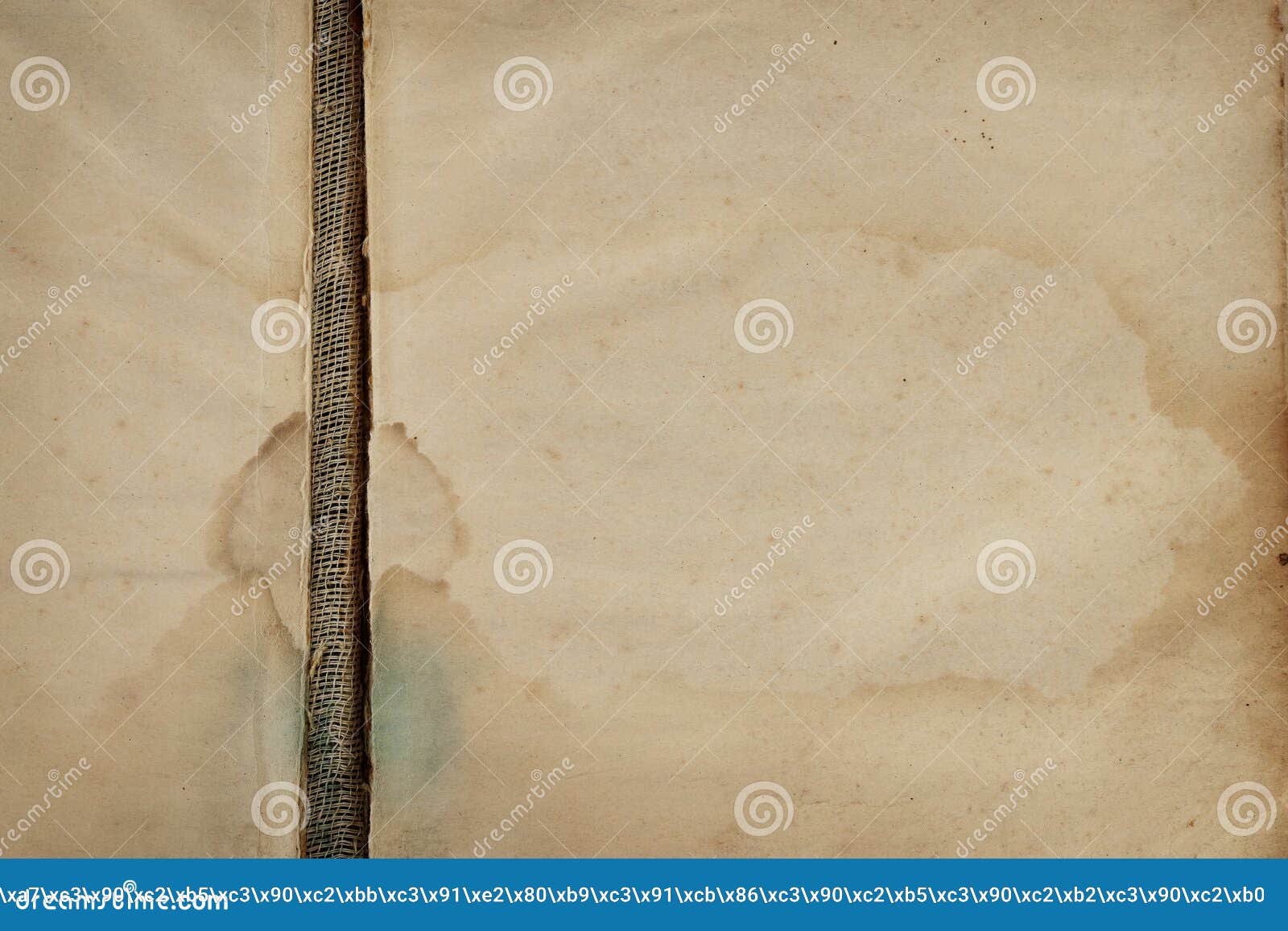 Yellow Stained Paper, Texture, Old Sheets from a Book, Isolate on a ...