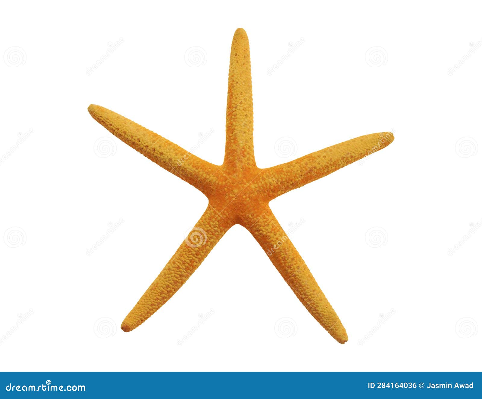 Yellow Starfish Isolated on White Stock Photo - Image of starfish ...