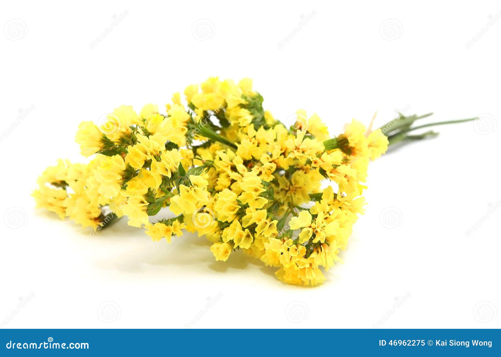 Yellow Statice flower stock image. Image of bouquet, limonium - 46962275