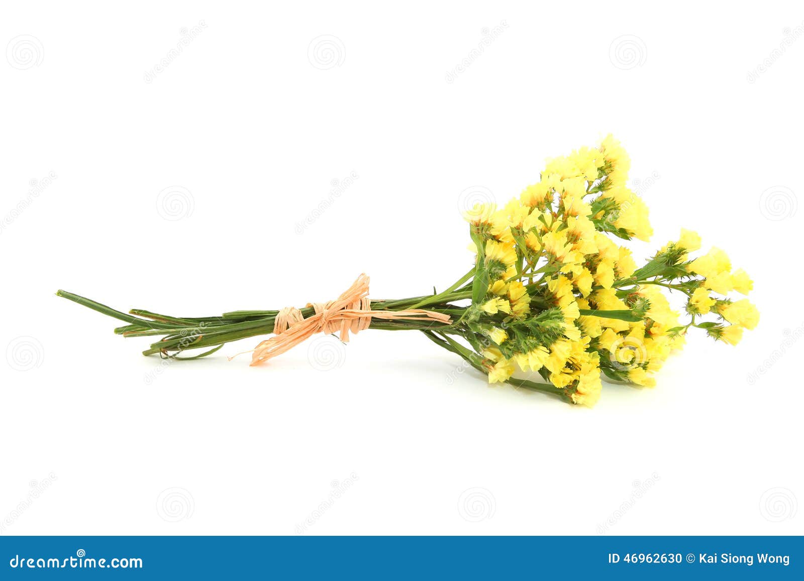 Yellow Statice flower stock photo. Image of natural, yellow - 46962630