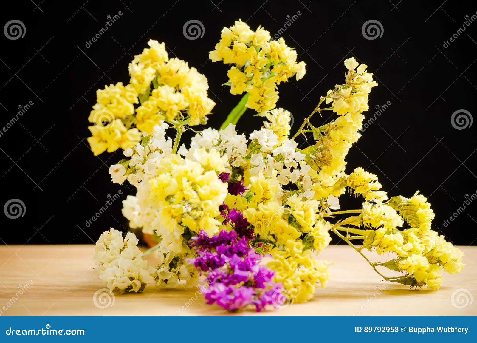 Yellow statice flowers stock photo. Image of floral, bright - 89792958