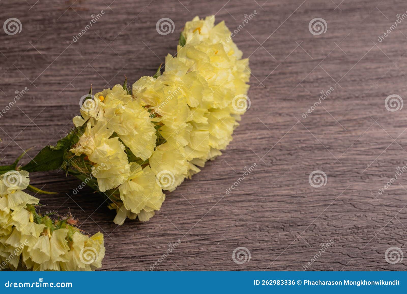 Yellow Statice Flowers on the Ground Stock Photo - Image of herbaceous ...