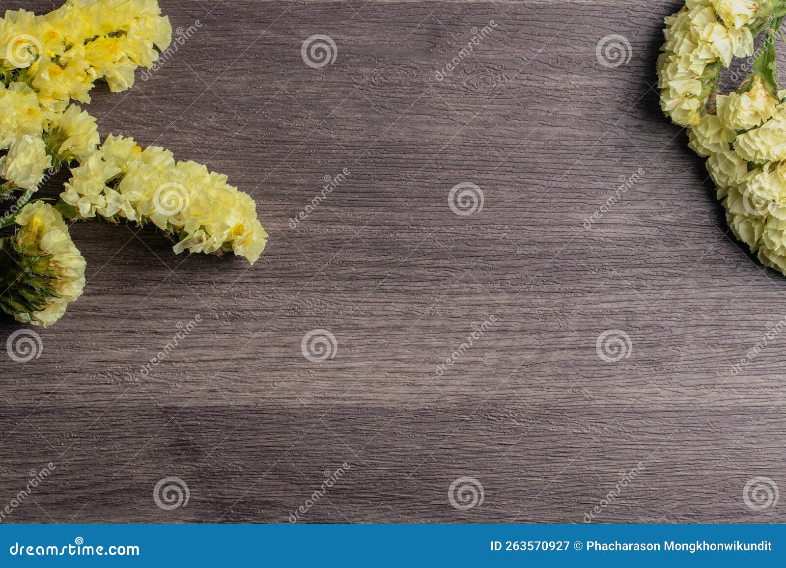 Yellow Statice Flowers on the Ground Stock Image - Image of head ...