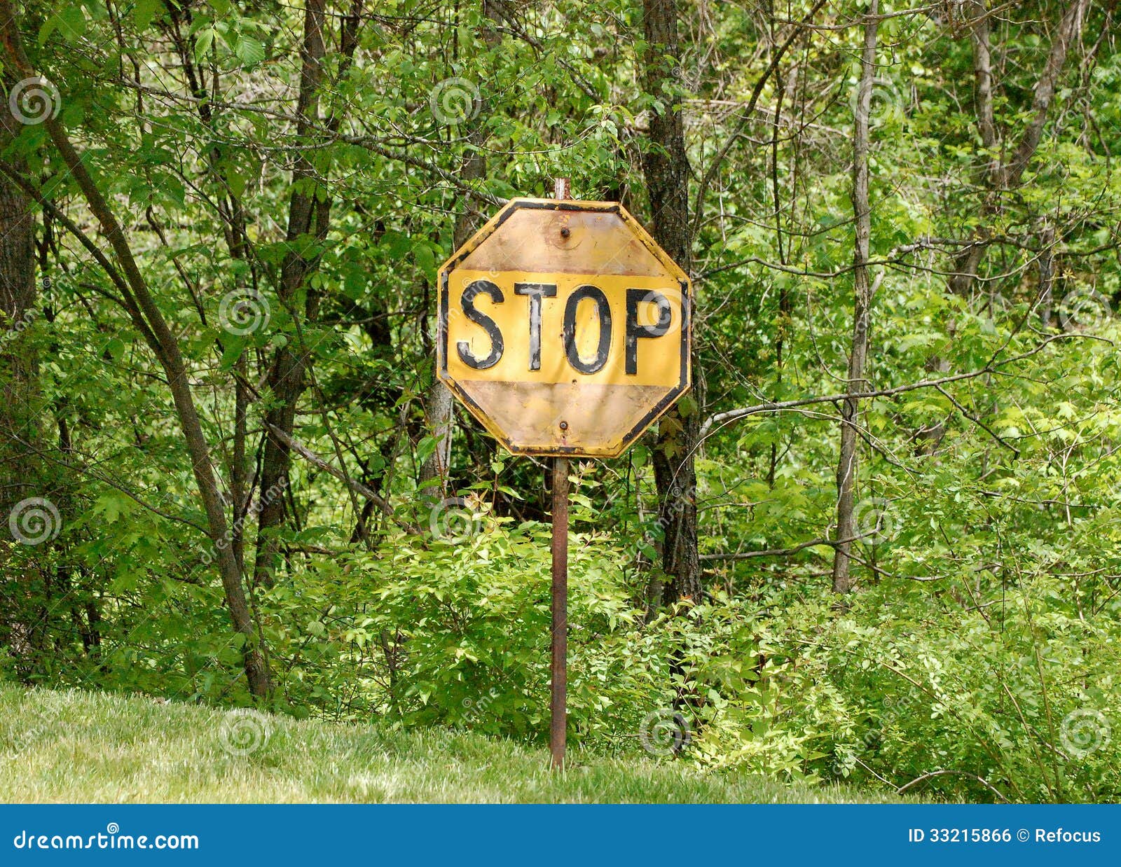 Yellow Stop Sign-1 stock photo. Image of trees, outdoors - 33215866
