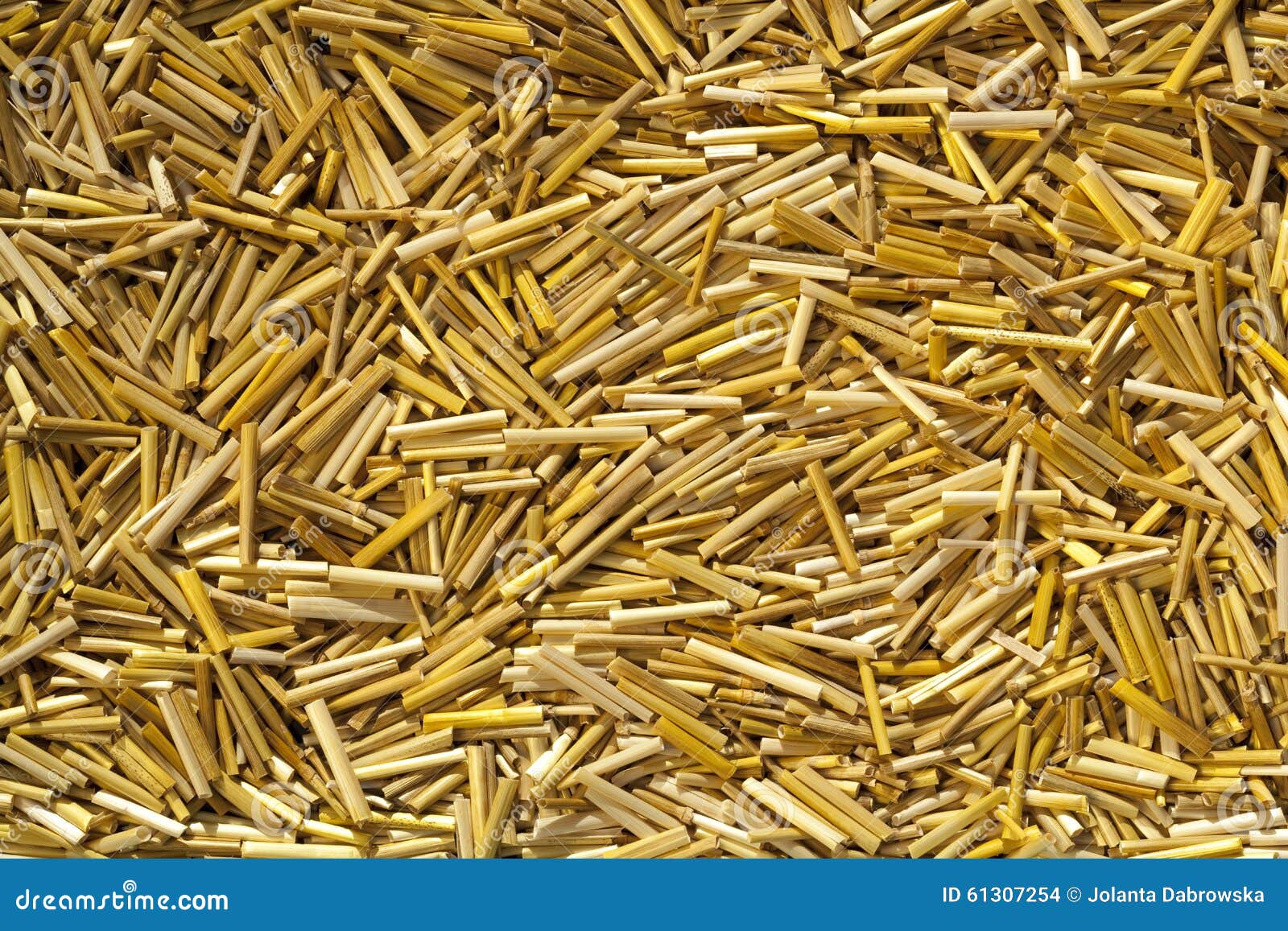 Yellow straw stock photo. Image of shape, dried, pieces - 61307254