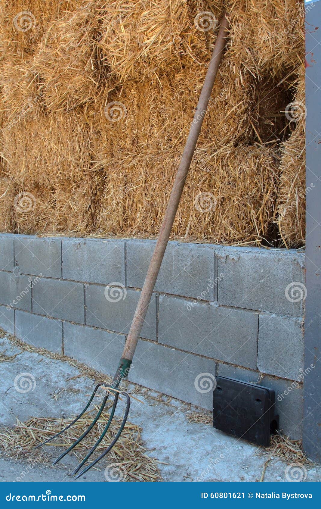 Yellow straw and a fork stock image. Image of outdoor - 60801621
