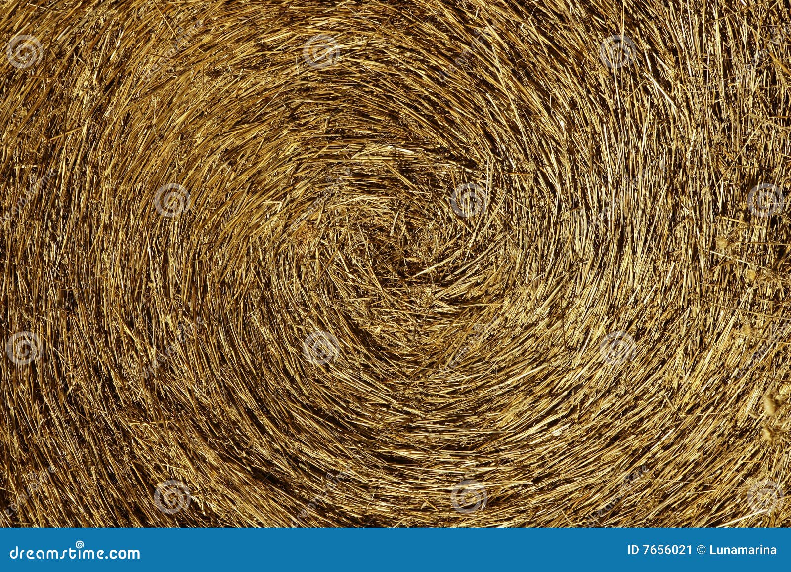 Yellow Straw Background Texture, Thatch Heap, Dried Grass Texture, Hay ...