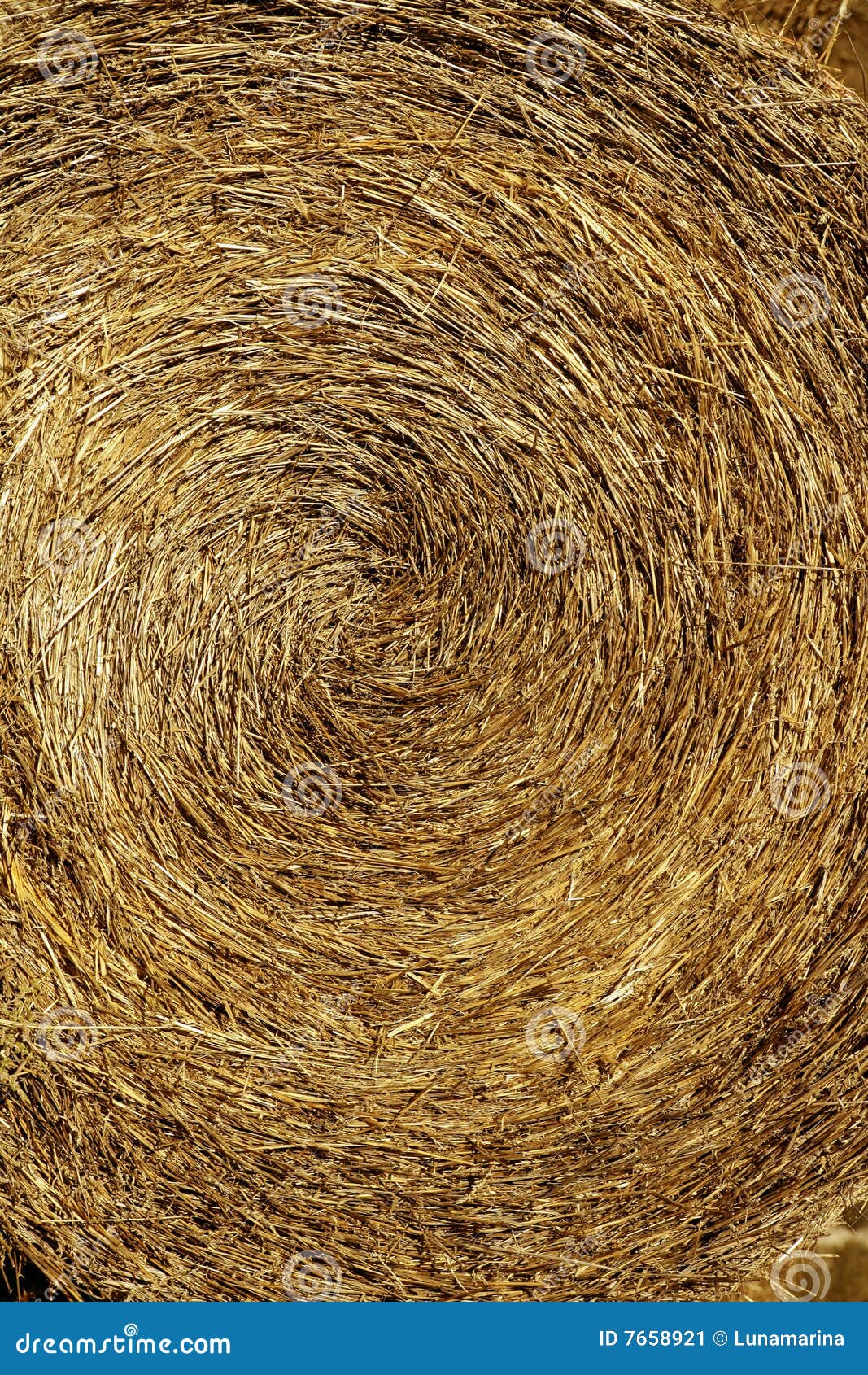 Yellow Straw Background Texture, Thatch Heap, Dried Grass Texture, Hay ...
