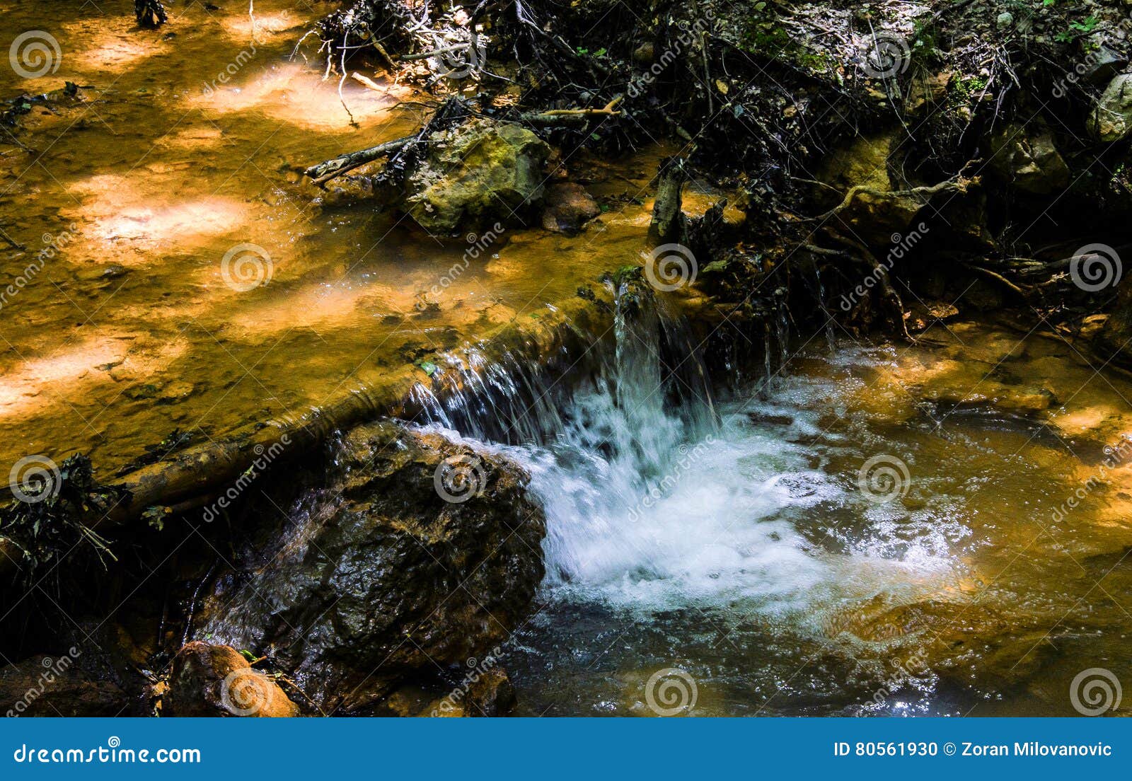 Yellow Stream stock photo. Image of green, leaves, stream - 80561930