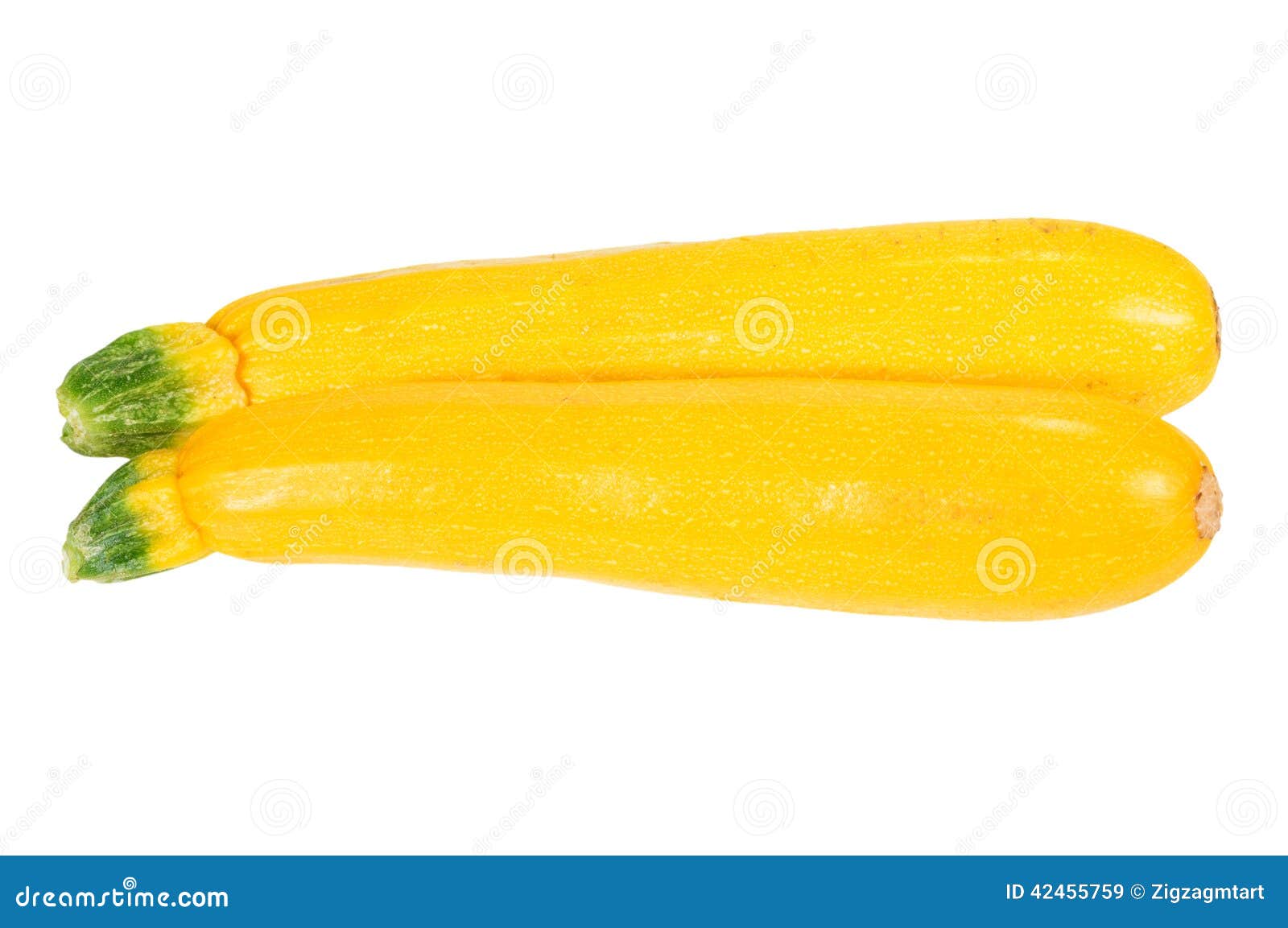 Summer Squash Zucchini Is Yellow Colored Gourd Also Known As Courgette ...