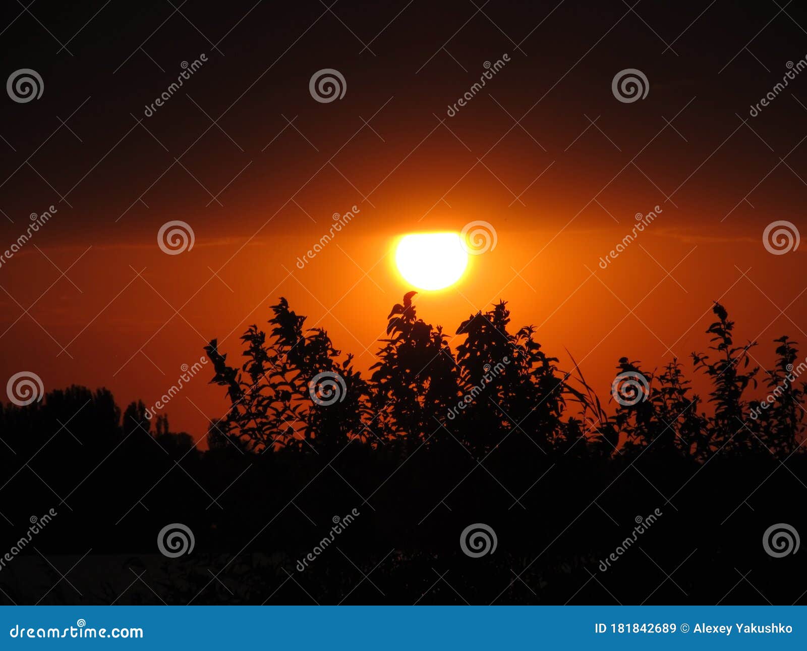 Yellow sun and red sunset stock image. Image of trees - 181842689